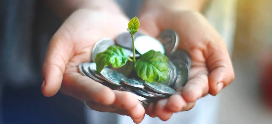 Quel est le classement des meilleures banques éthiques